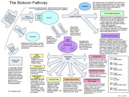 Chronic Inflammatory Response Syndrome (CIRS) – How I Recovered